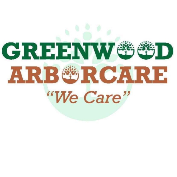 Kincumber Colts Junior Rugby League – Go Colties!