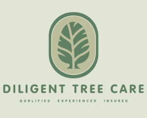 Kincumber Colts Junior Rugby League – Go Colties!